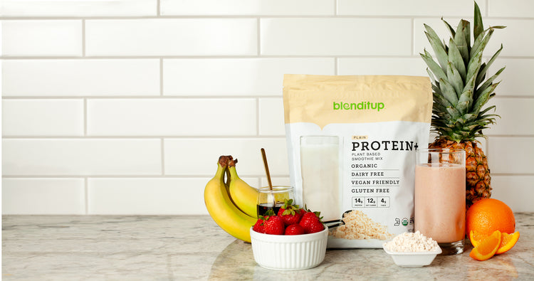 BlenditUp | Vegan Plant Protein Powde... – Blenditup™
