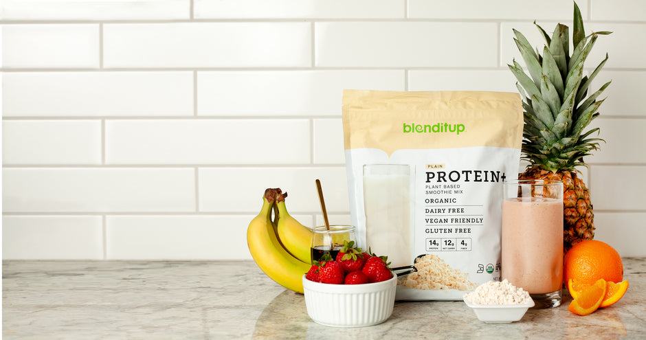 BlenditUp | Vegan Plant Protein Powde... – Blenditup™